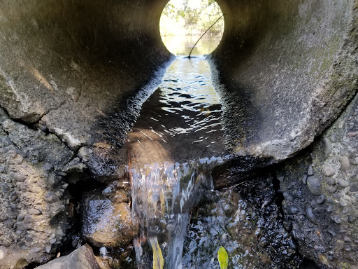 Park «Hillendale Park», reviews and photos, 19260 Clairmont Way, Oregon ...