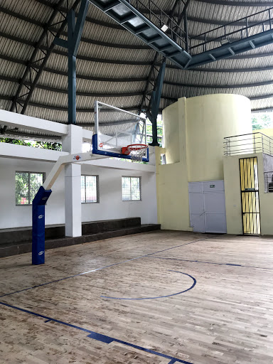 Beagles Basketball Club in Malleswaram, Bengaluru, Karnataka - Zaubee