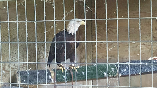 Nature Preserve «Iowa Raptor Center», reviews and photos, 2095 Mehaffey ...