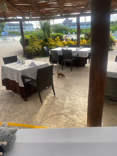 Restaurante Jaal-Ha Restaurant at Blue Bay Grand Esmeralda en Solidaridad