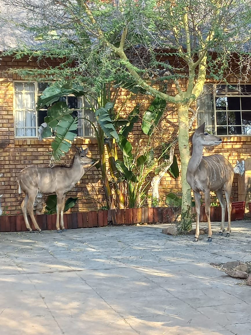 LEEUPOORT VAKANSIEDORP in the city Thabazimbi