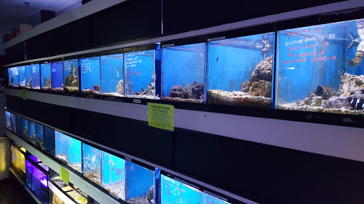 Pet Store «Zoo Creatures Pet Store», reviews and photos, 149 Plaistow ...