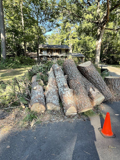 Tree Service in Decatur, GA | Tree Trimming & Removal