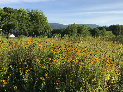 Golf Club «Old Trail Golf Club», reviews and photos, 5494 Golf Dr ...