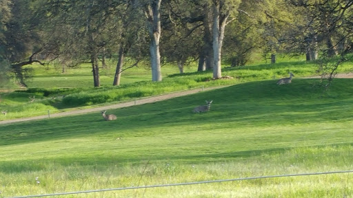 Public Golf Course «Bidwell Park Golf Course», reviews and photos, Golf ...