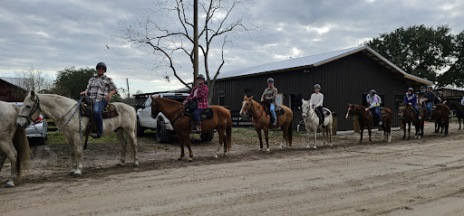 Diamond D Ranch Inc | Ride The Horse