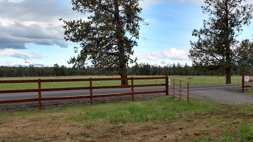 Blue Sky Ranch in - Zaubee