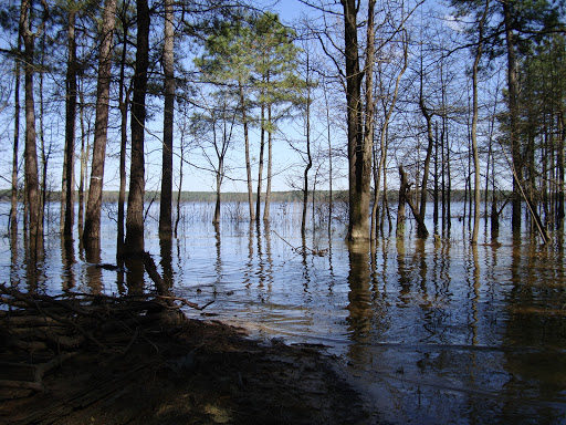 Jordan Lake Educational State Forest - AZexplained