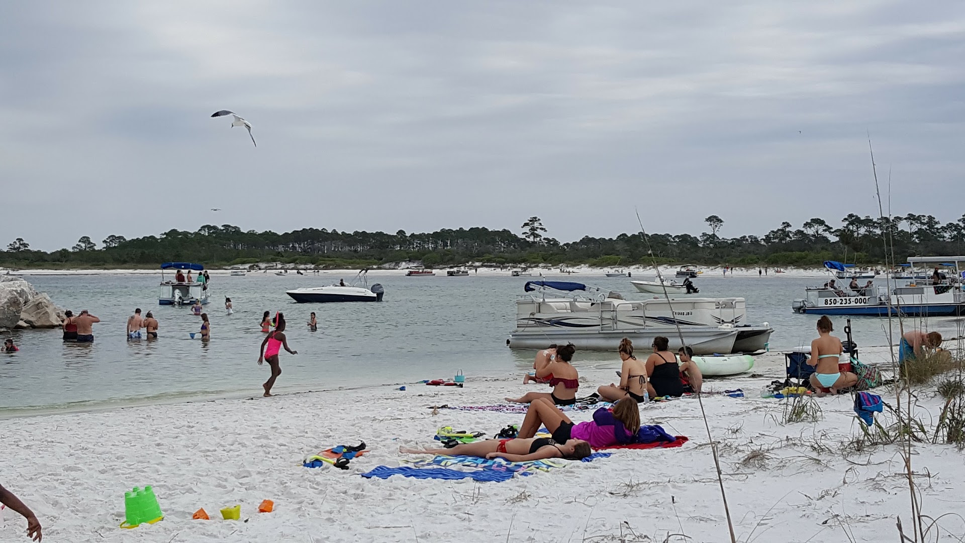 Shell Island Shuttle - reviews,open hours,photo spots,things to do ...