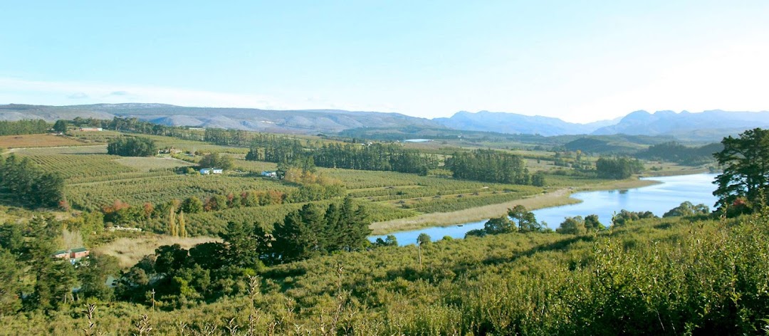 Elgin Grabouw Tourism in the city Grabouw