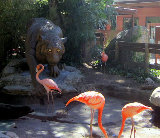 Zoo «Charles Paddock Zoo», reviews and photos, 9100 Morro Rd ...