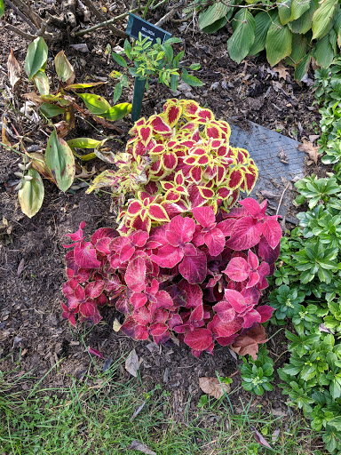 Park «Pardee Rose Gardens», reviews and photos, 180 Park Rd, Hamden, CT ...