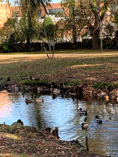 State Park «Valley Stream State Park», reviews and photos, Valley ...