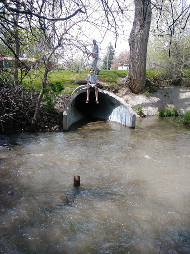 Adams Park - AZexplained