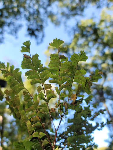 Visitor Center - AZexplained