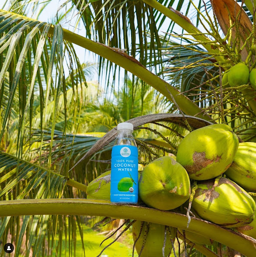 CB COCONUTS - Coconut Water and Coconut Meat