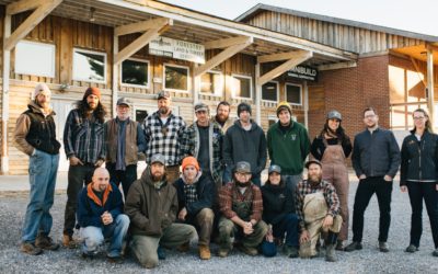 Omnibuild General Contractors - AZexplained