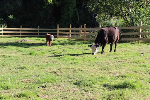 Blue Gate Farm - AZexplained