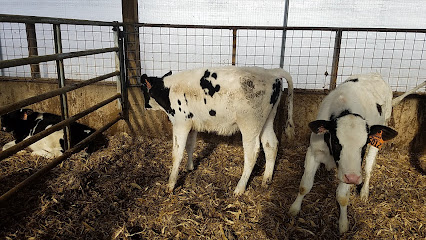 Timber Ridge Farm - Farm - Monticello, Wisconsin - Zaubee
