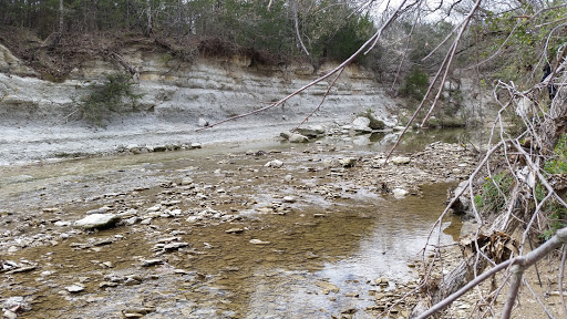 Nature Preserve «Spring Creek Forest Preserve», reviews and photos ...