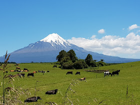 13 reviews of Kaponga Rugby Club (Sports Complex) in Hawera (Taranaki)