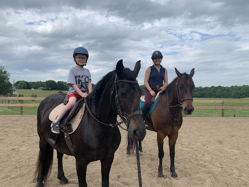 West Wind Stables, LLC in Springfield, Tennessee - Zaubee