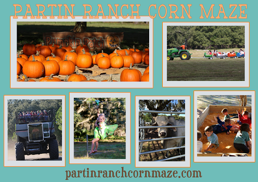 Tourist Attraction «Partin Ranch Corn Maze», reviews and photos, 5601 N ...