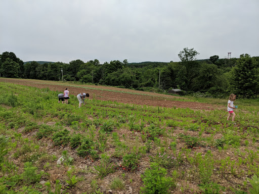 Zentek Farms - AZexplained