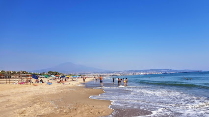 Spiaggia della Plaia [2025]