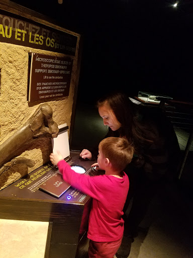 Museum «Portland Science Center», reviews and photos, 68 Commercial St ...