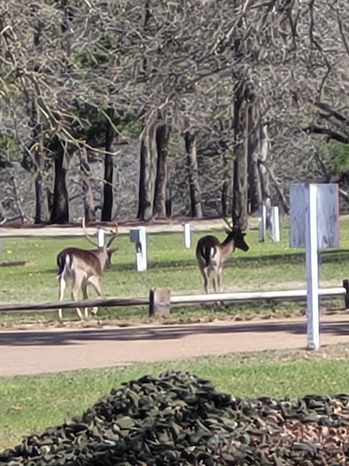 Camp Tonkawa Springs RV Park And Campground in Garrison, Texas - Zaubee