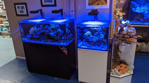 Tropical Fish Store «Reef eScape», reviews and photos, 11141 Lee Hwy ...