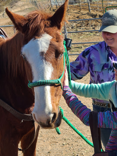 Horseback Riding Service «Spur Cross Stables», reviews and photos ...