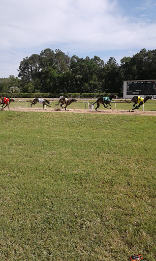 Racecourse «Ebro Greyhound Park», reviews and photos, 6558 Dog Track ...