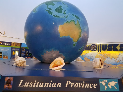 Museum «Bailey-Matthews Shell Museum», reviews and photos, 3075 Sanibel ...