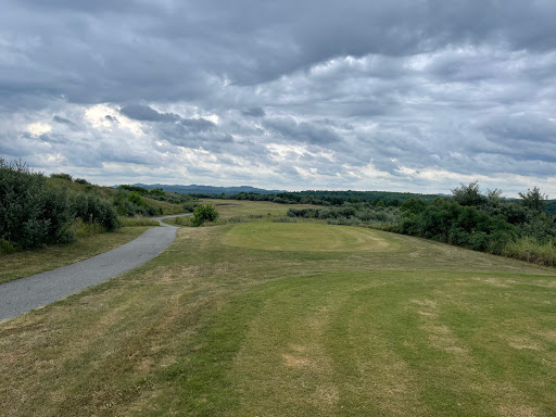 Golf Club «Twisted Gun Golf Club», reviews and photos, 2002 Twisted Gun ...