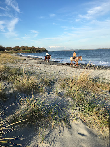 Third Beach - AZexplained