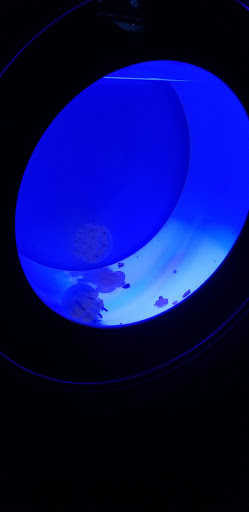 Tropical Fish Store «Reef eScape», reviews and photos, 11141 Lee Hwy ...