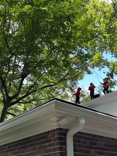 Tree Trimming & Removal Services Decatur, GA | Don's Tree Service