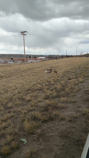 Key Club Park - AZexplained