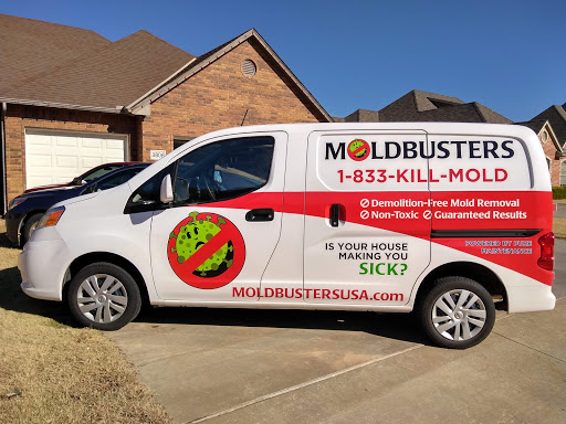 Mold Busters New Mexico - AZexplained