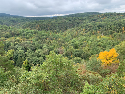 Green Ridge State Forest - AZexplained