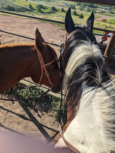Medora Riding Stables in Medora, North Dakota - Zaubee