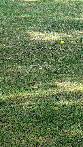 Golf Course «Wilson Road Golf Course», reviews and photos, 1900 N ...