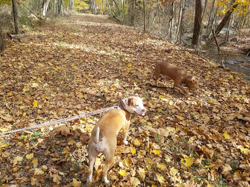 Golf Course «Phillip J. Rotella Memorial Golf Course», reviews and ...