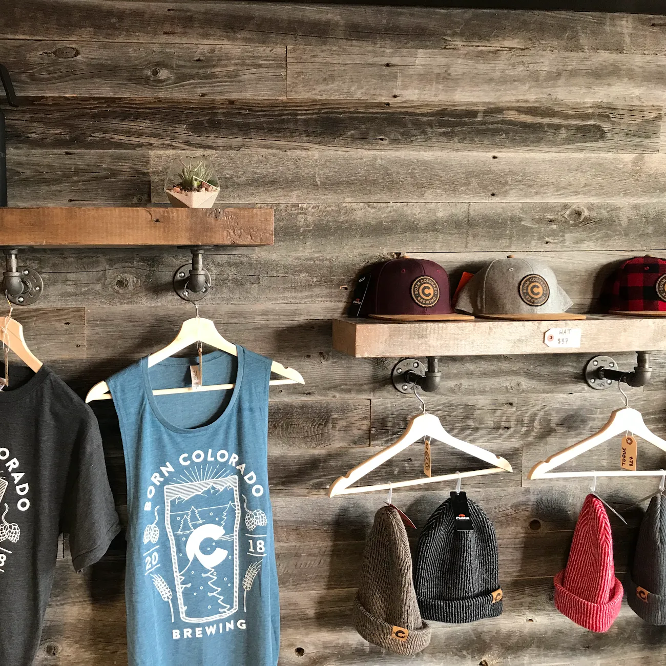 Born Brewing Co. - Calgary Craft Beer & Brewery