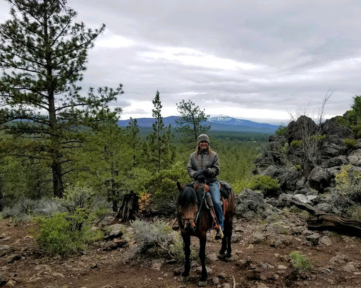 Blue Sky Ranch in - Zaubee