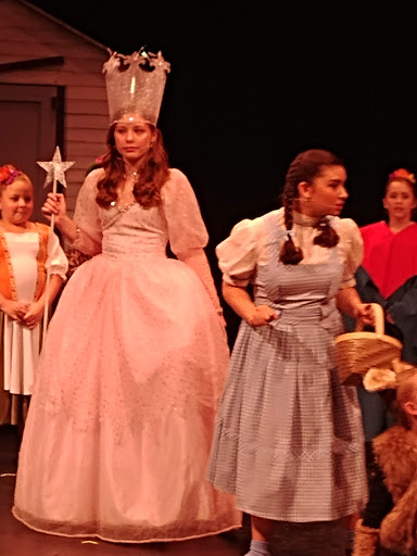 Performing Arts Theater «Reif Performing Arts Center», reviews and ...