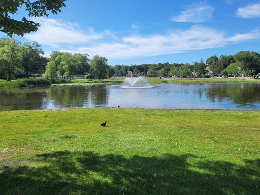 White Park - AZexplained