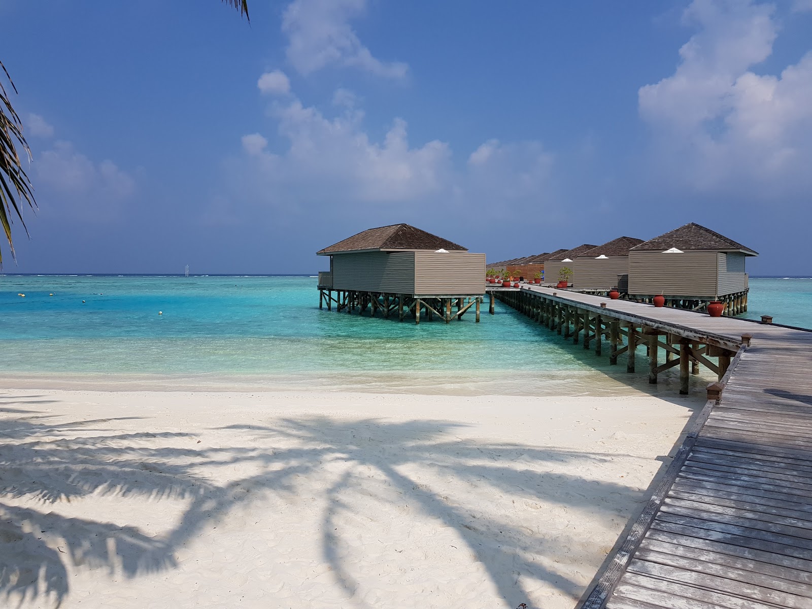 Meeru Island Resort 🏖️ Thulusdhoo, Malé Atoll, Maldives - detailed ...